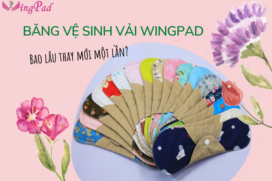 BVS VẢI WINGPAD - BAO LÂU NÊN THAY MỚI 1 LẦN